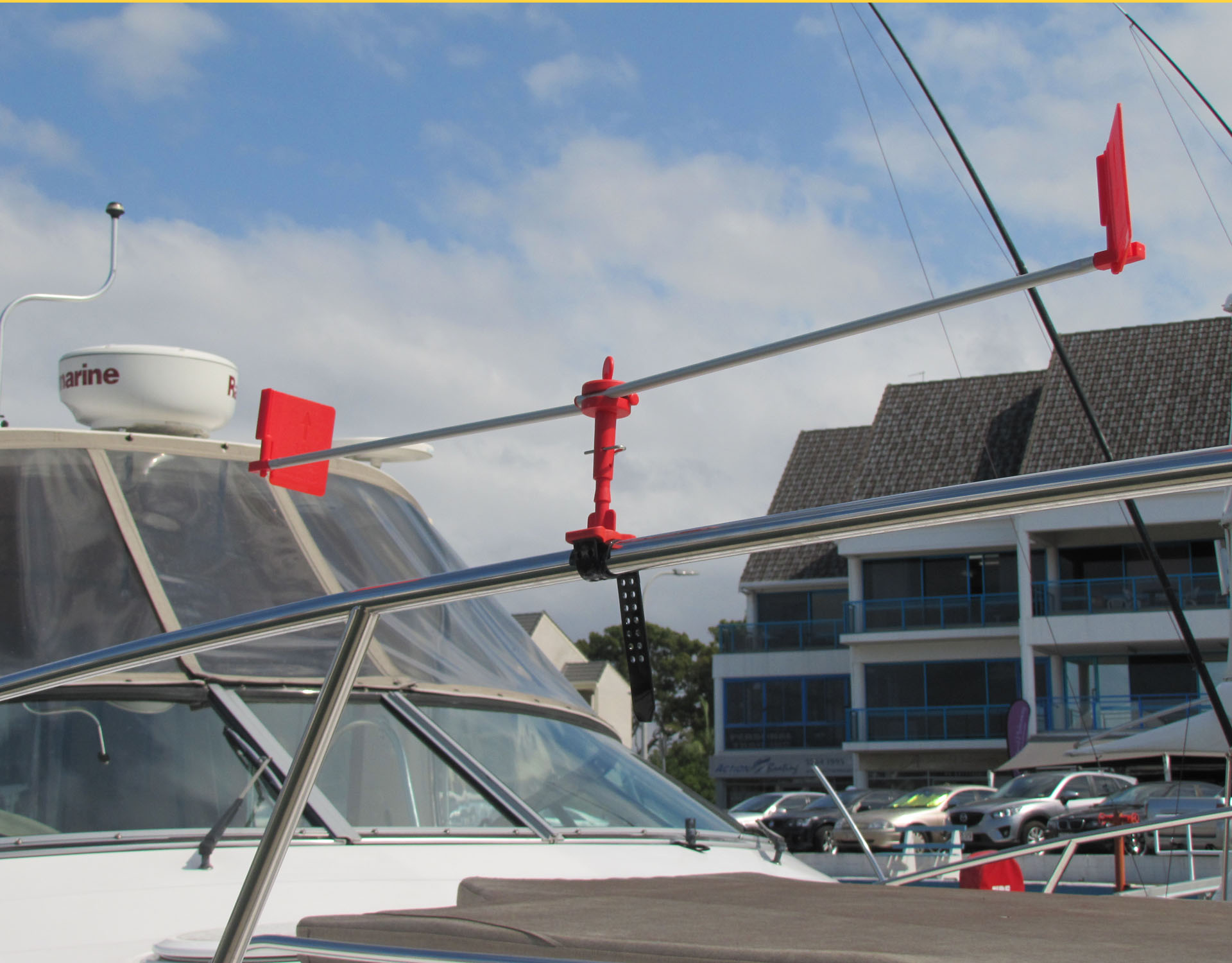 Domestic - Bird Busta